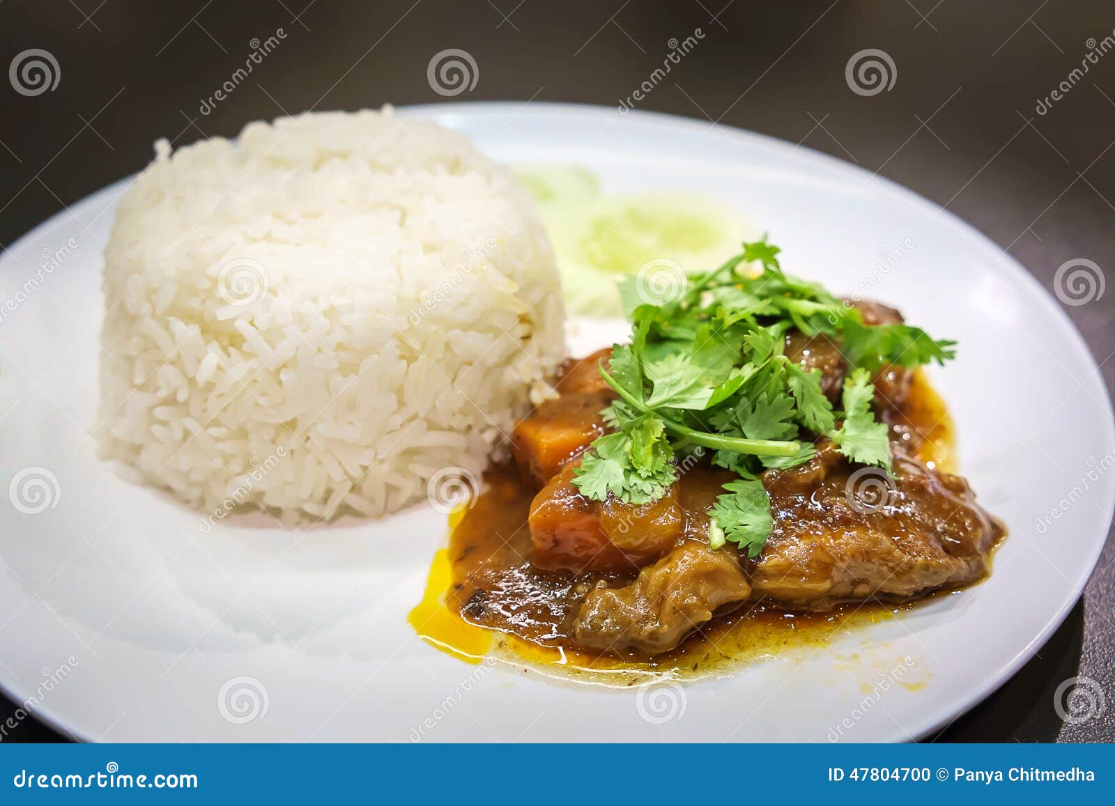 White rice and stew stock photo. Image of brown, dining - 47804700