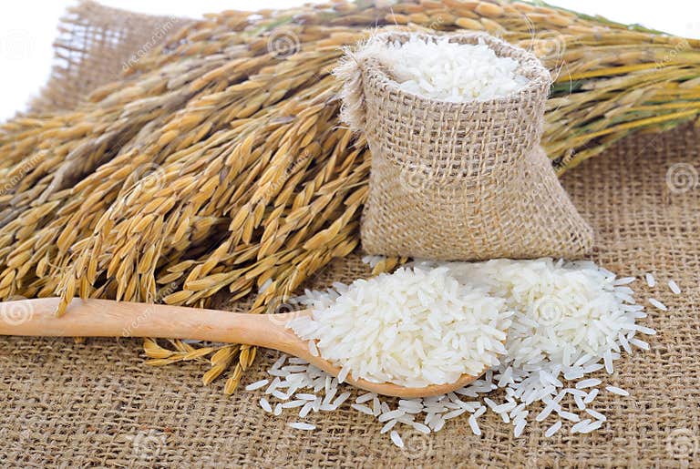 White Rice and Unmilled Rice Stock Photo - Image of asian, wholegrain ...