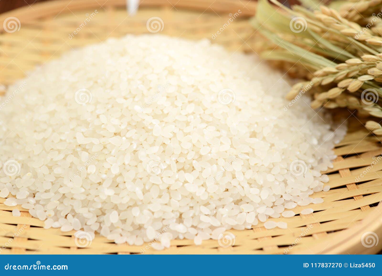 White rice stock photo. Image of farming, diet, crops - 117837270