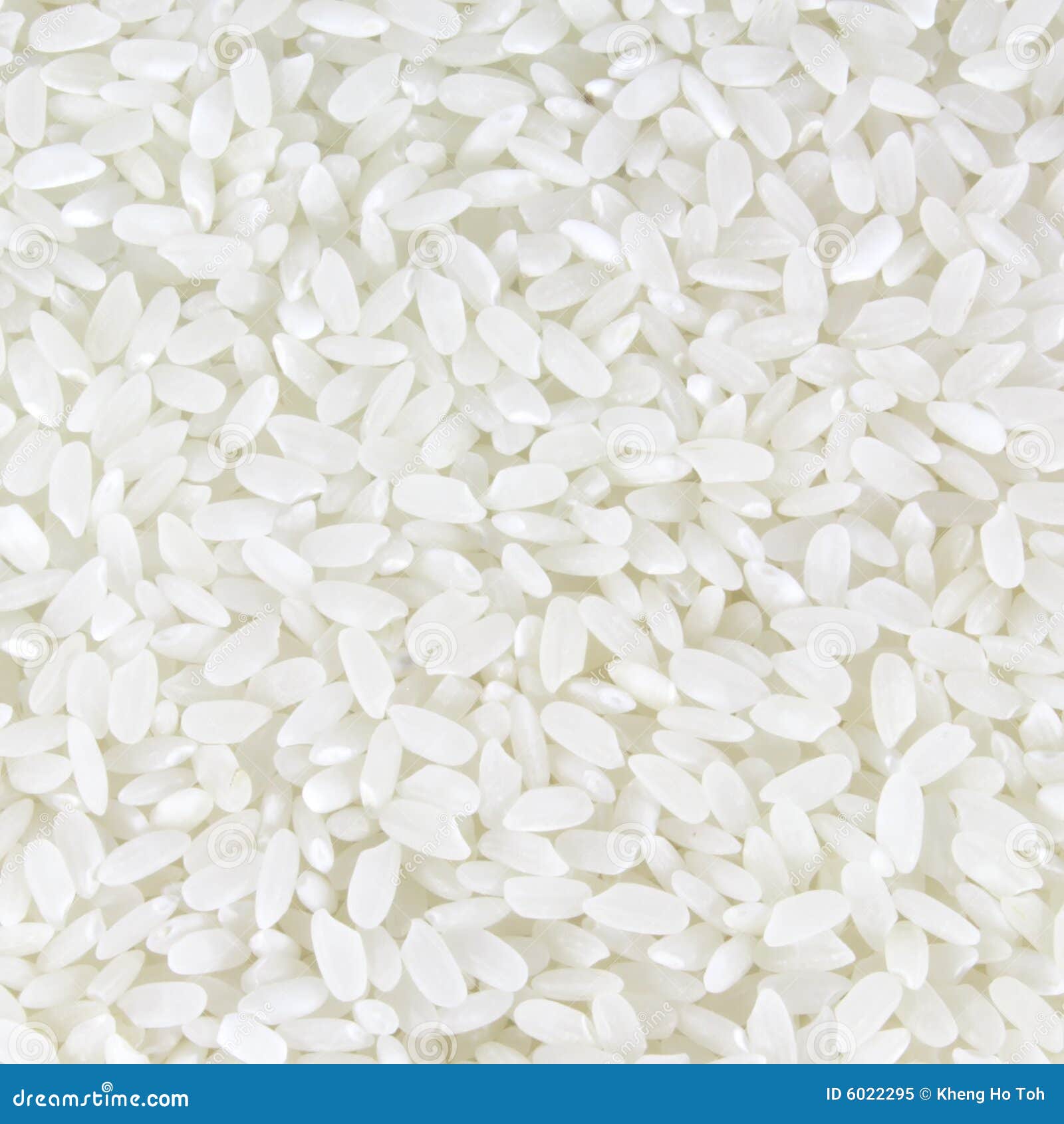 White Rice Whole Background Stock Image - Image of abstract, grain: 6022295