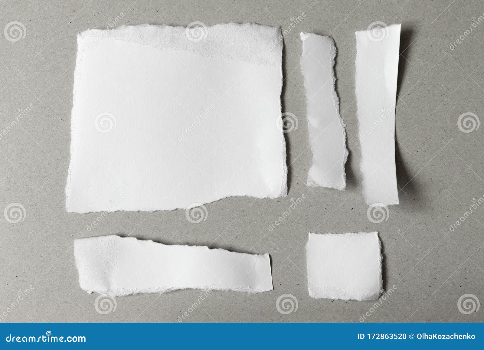 White Ripped Notes, Set of Pieces of Torn Different Shapes Paper on ...