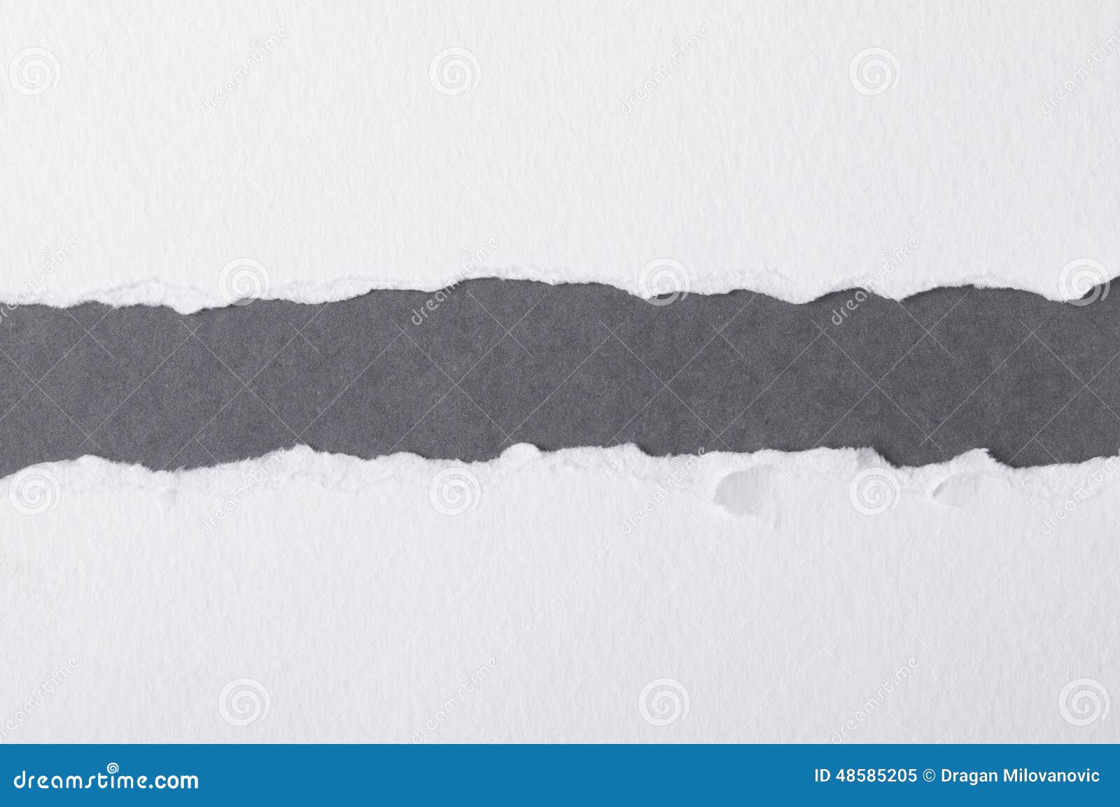 White ripped paper stock image. Image of curled, texture - 48585205
