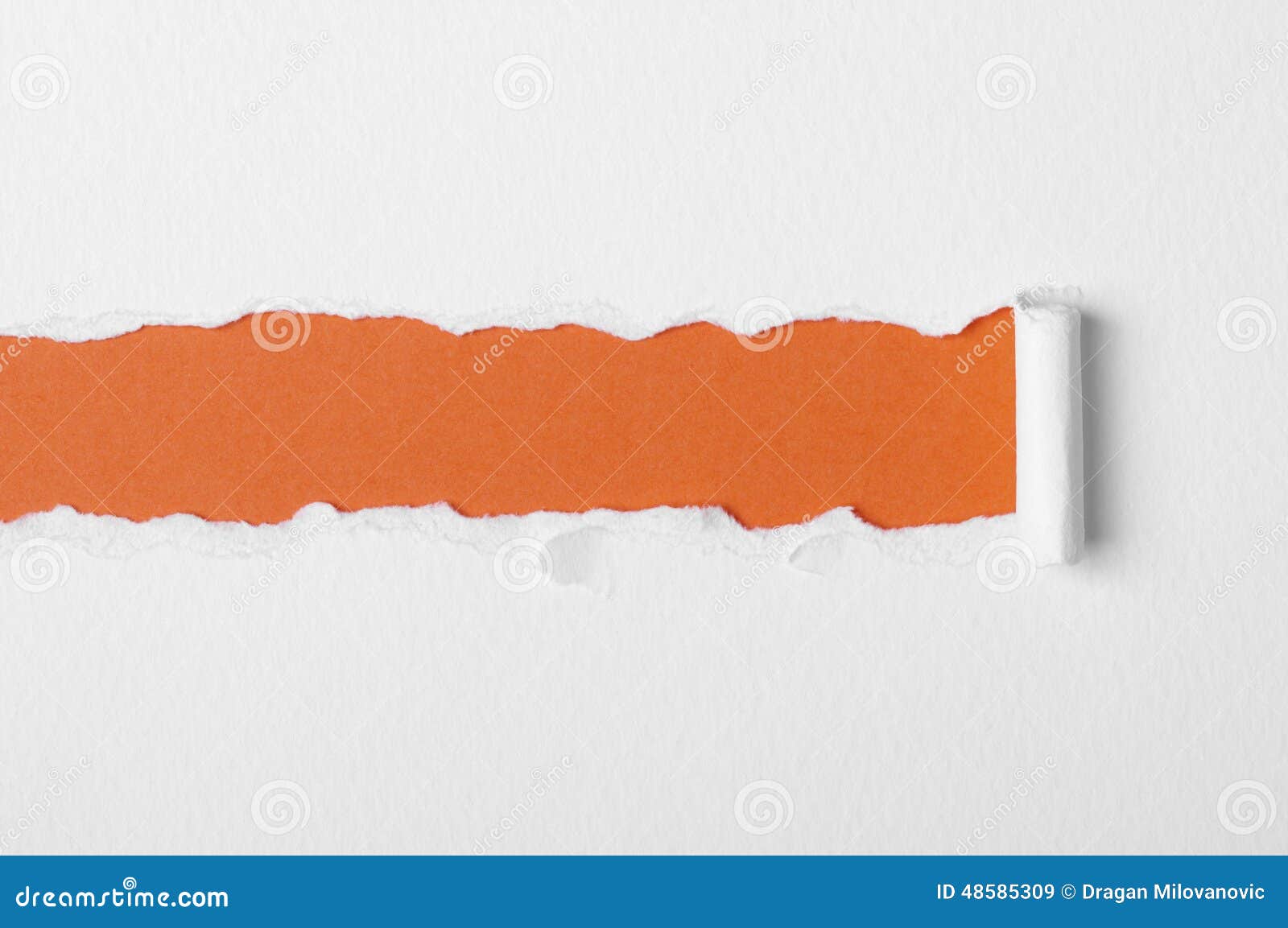 White Ripped Paper Or Torn Paper In Half On Wood Background 2 Stock ...