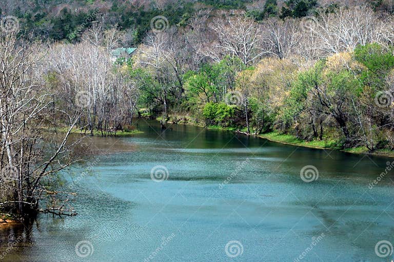White River stock photo. Image of landscape, forest, stream - 2342252