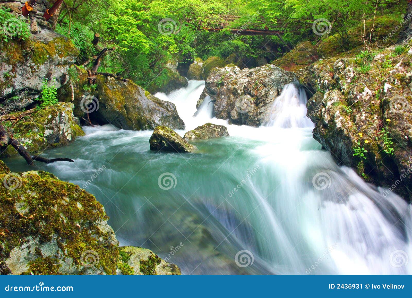 White River stock image. Image of trail, bulgaria, mountain - 2436931
