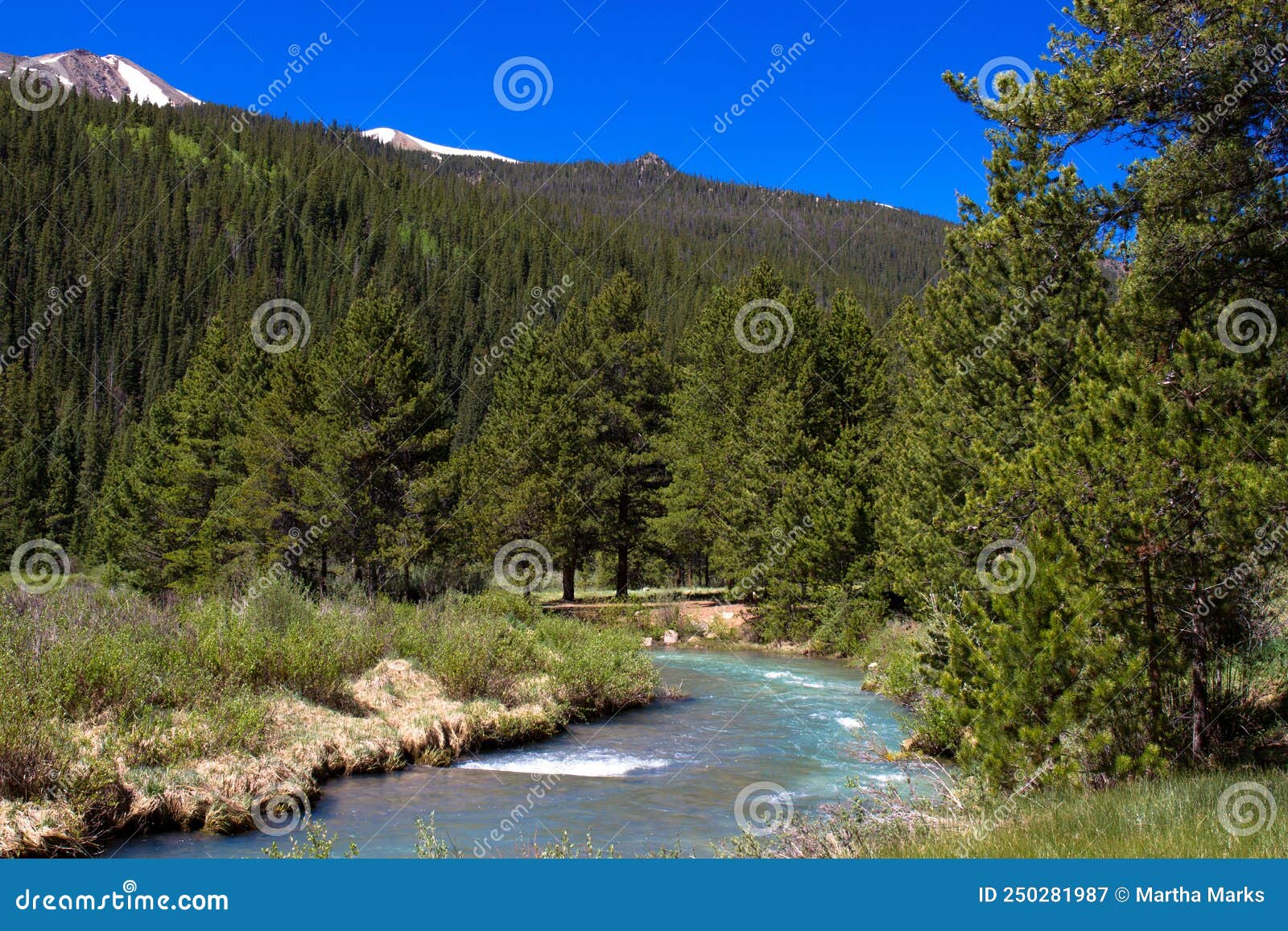 The Snake River Flows through Mountains in Colorado Stock Image - Image ...