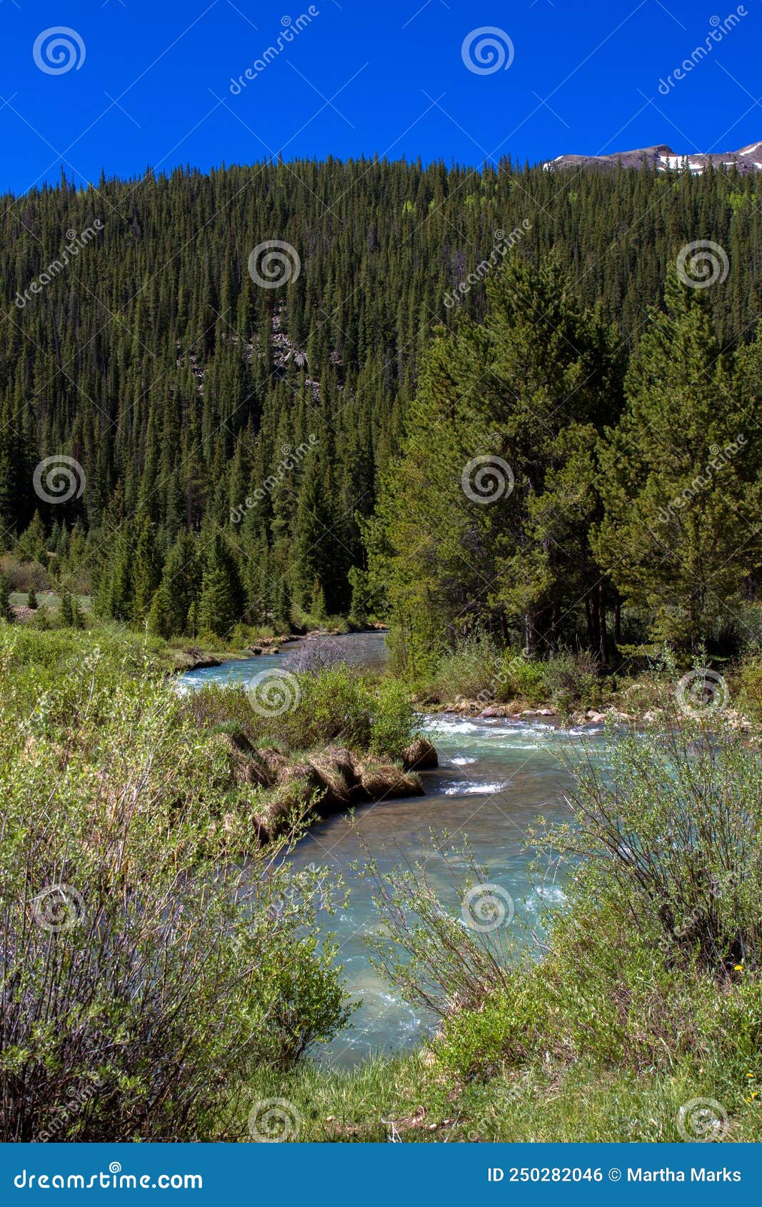 The Snake River Flows through Mountains in Colorado Stock Photo - Image ...