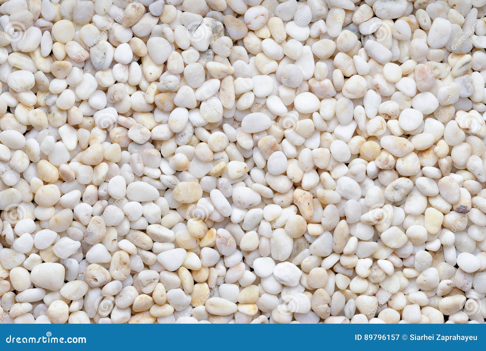 River Pebble Wall Tile Background Natural Texture Cross-section Cut ...