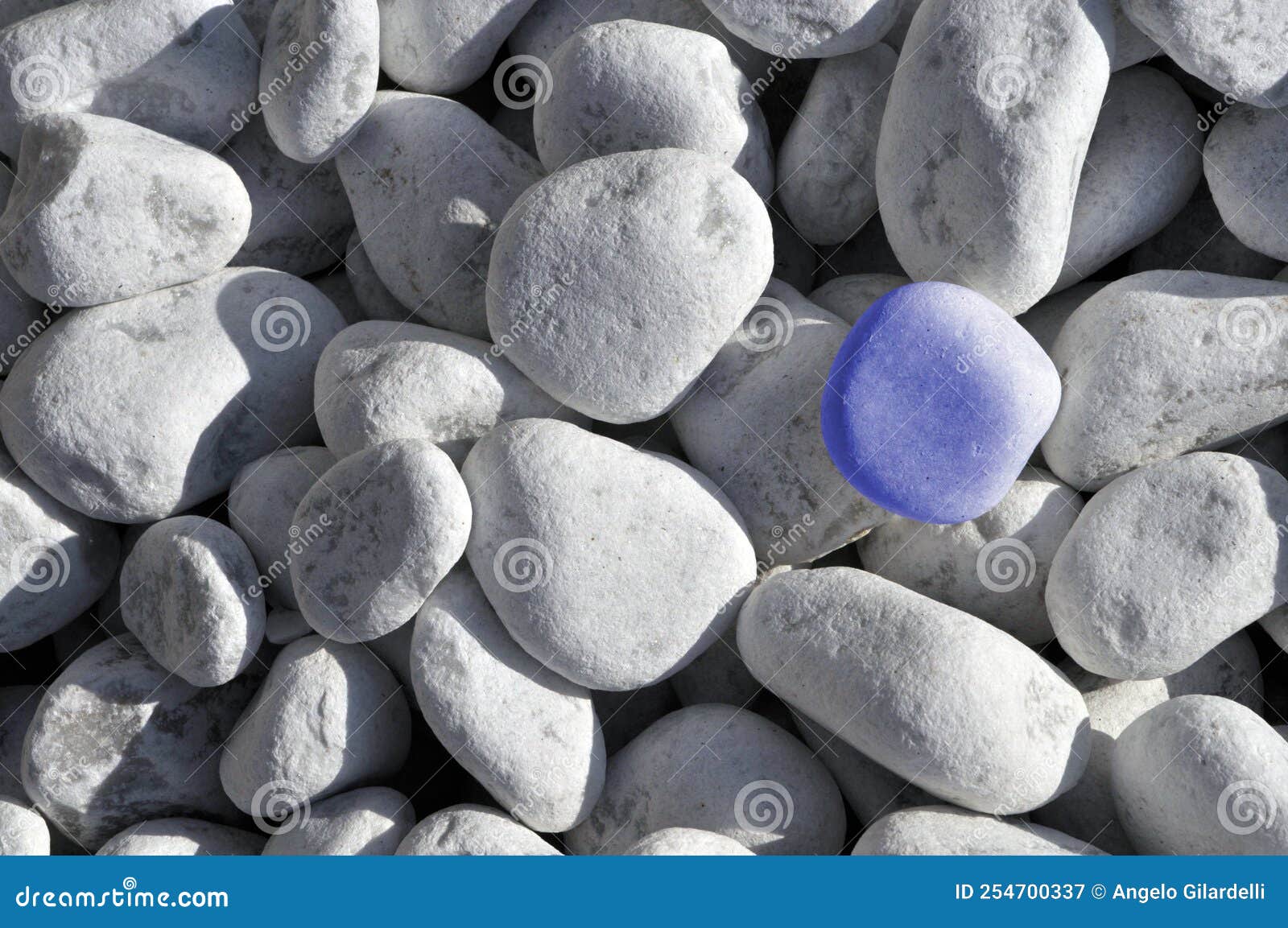 White River Stones with One Blue Stone - Concept of Difference and ...