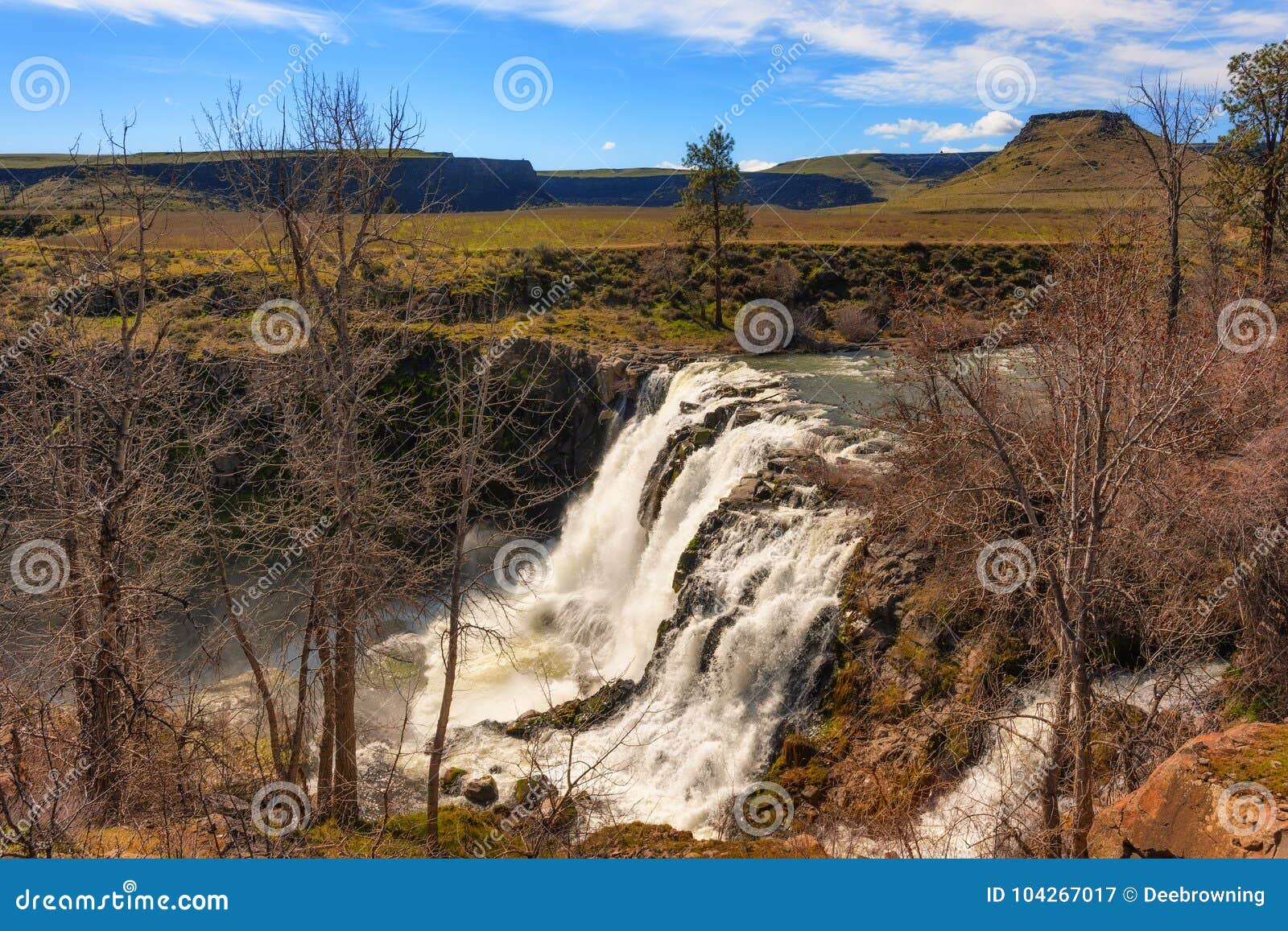White River Waterfalls in Eastern Oregon Stock Image - Image of river ...