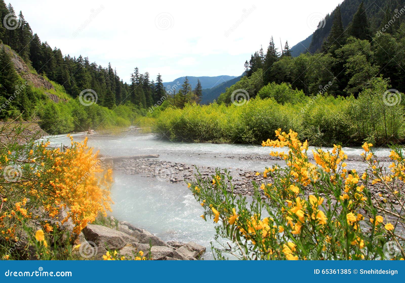 White river stock image. Image of water, mountain, white - 65361385