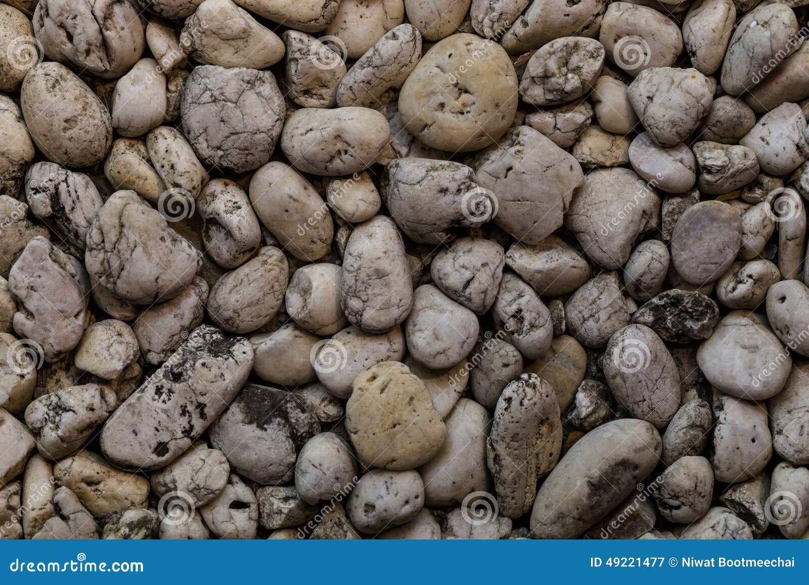 White rock on the ground stock image. Image of macro - 49221477