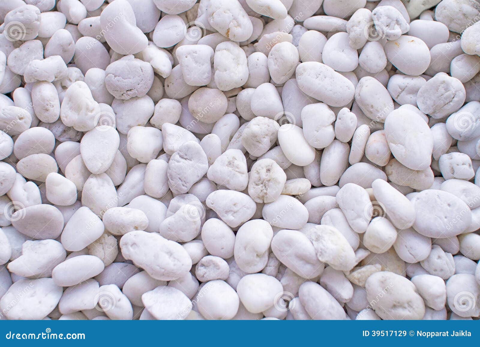 White rock pebbles stock image. Image of macro, beach - 39517129