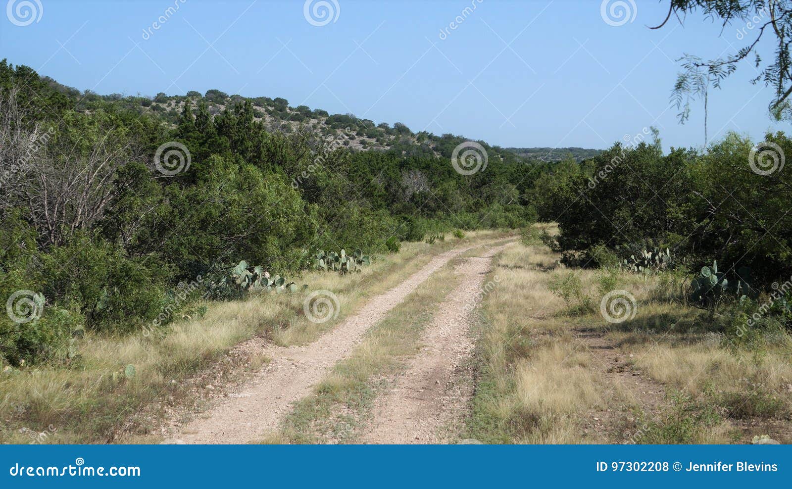 White Rock Road stock photo. Image of mountain, view - 97302208