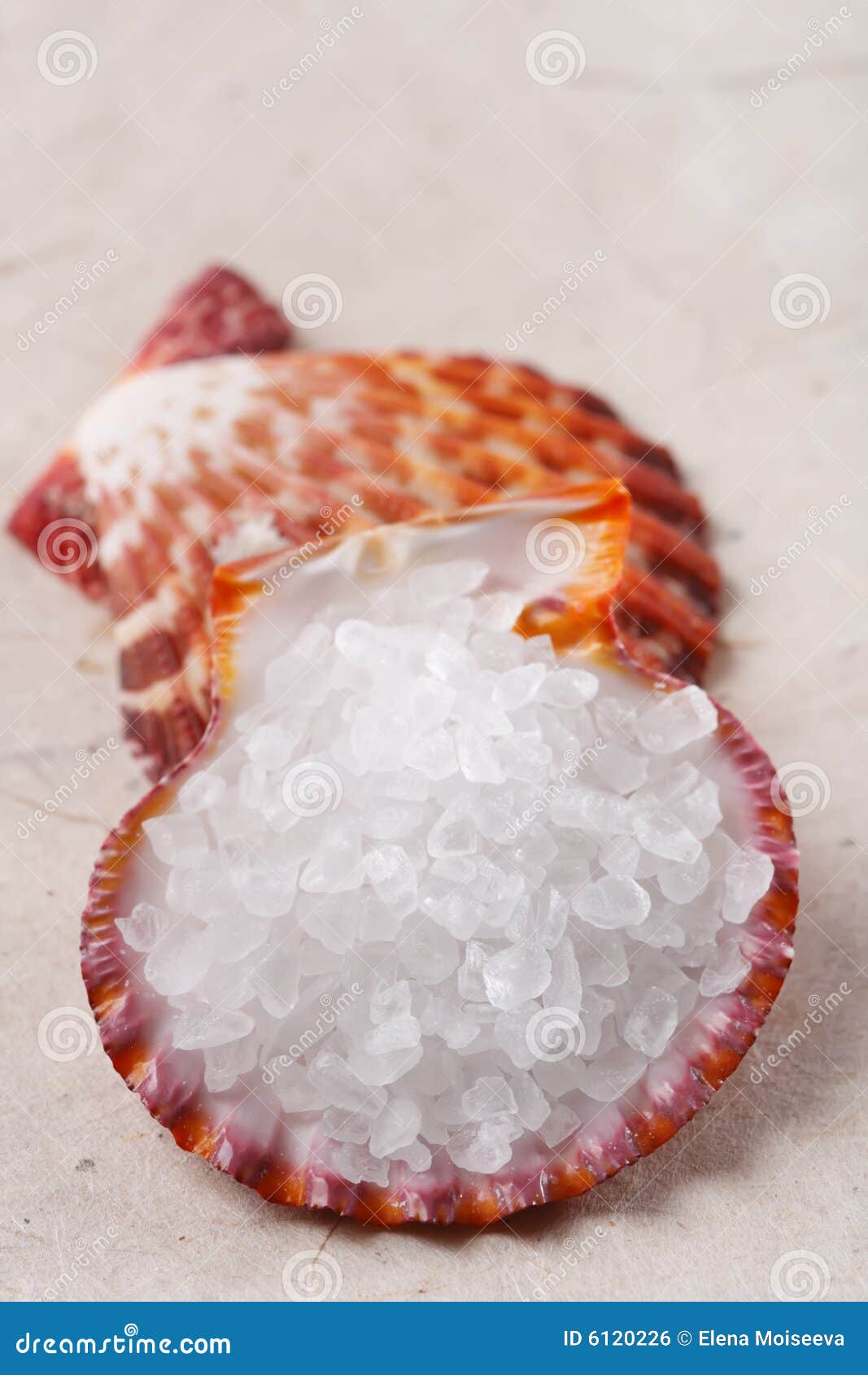 White Rock Sea Salt in Sea Shell on Paper Stock Photo - Image of close ...