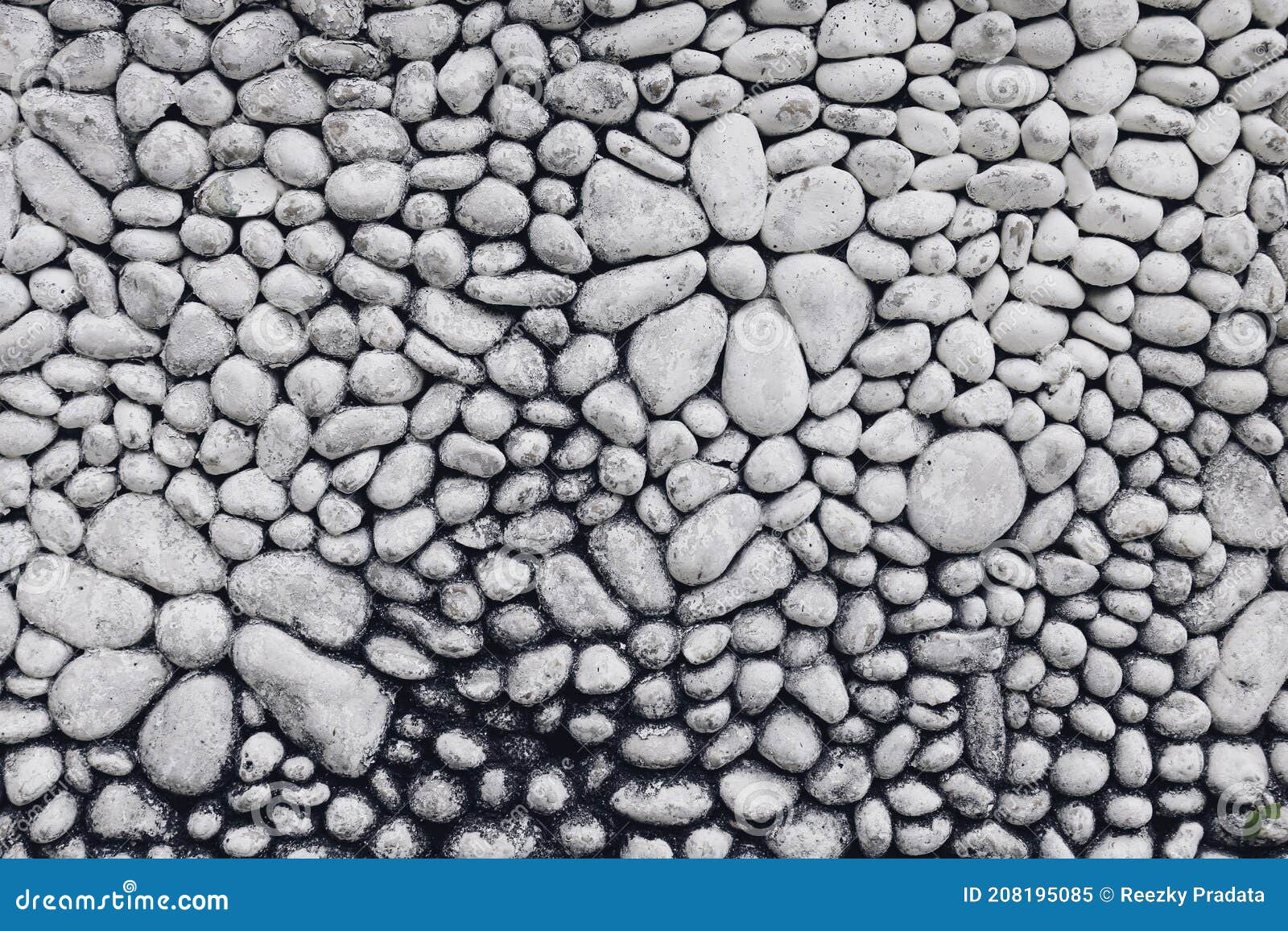 White Rock or Rock Wall Texture with Flower Stock Image - Image of ...