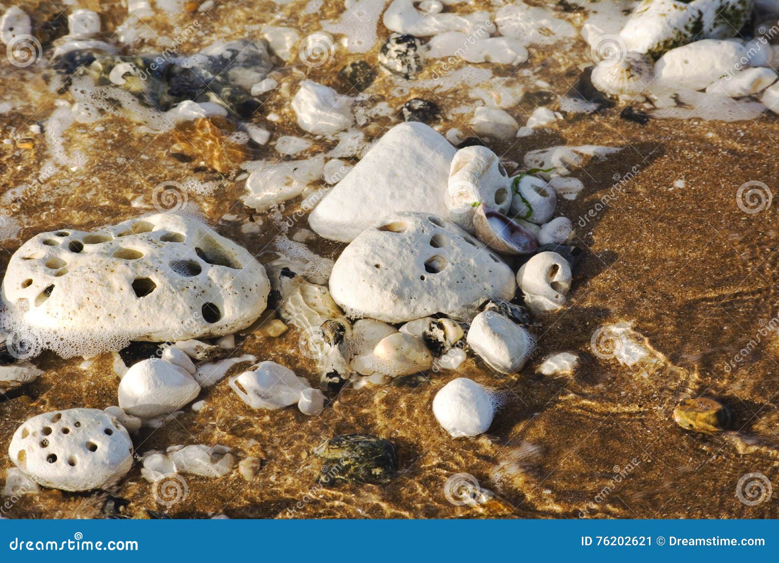 White Rocks and Water at the Beach Stock Image - Image of blue, sunset ...