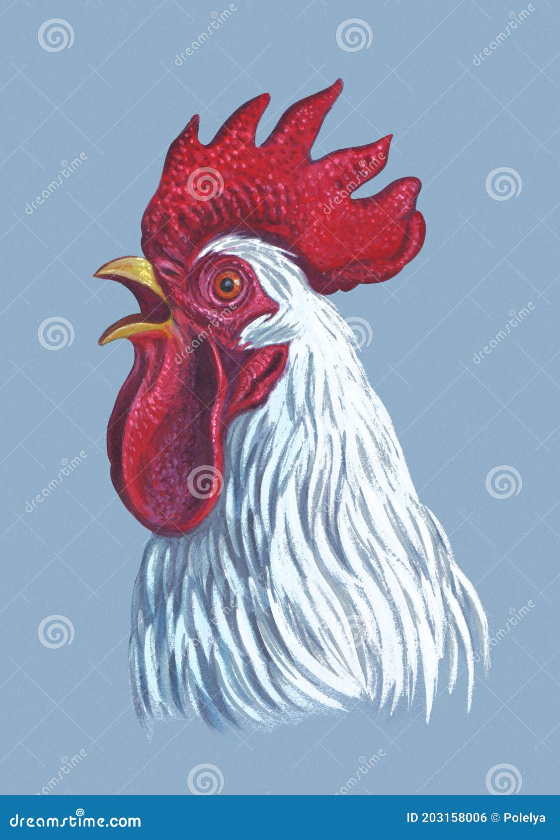 Rooster Drawing With Flower Frame, Illustration Cartoon Vector ...