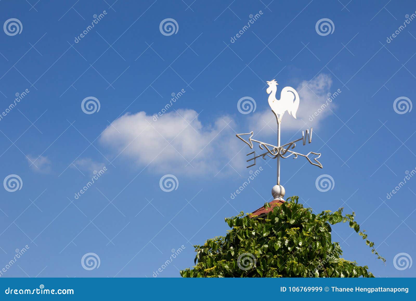 White Rooster Weather Vane Show The Wind Direction On Blue Sky Stock Image Image Of Nature