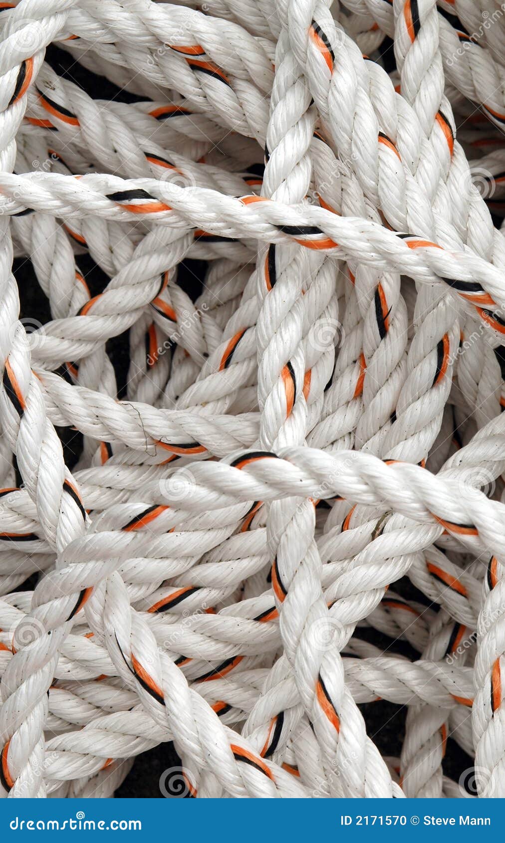 White rope stock photo. Image of boating, lashing, strand - 2171570