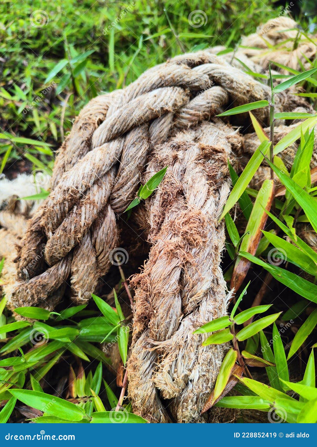 White Rope with a Binding Fiber that Binds on the Boat 26 Stock Image ...