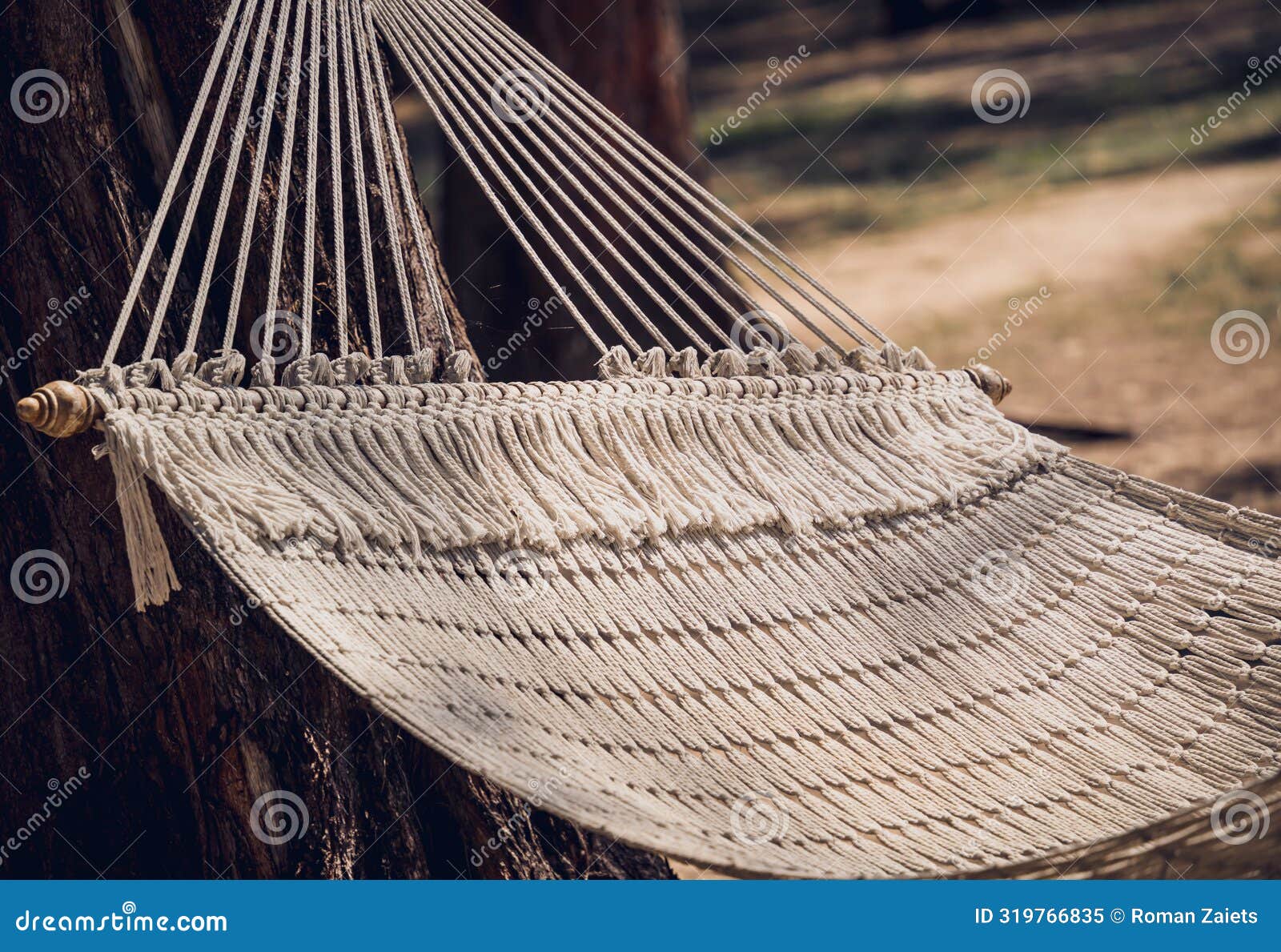 A White Rope Hammock Swings between Two Trees Stock Image - Image of ...