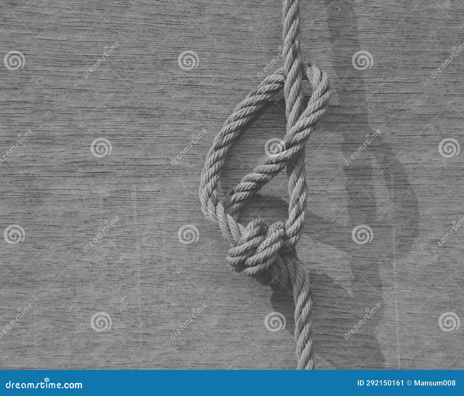 White Rope Knot on Black and White Background Stock Image - Image of ...