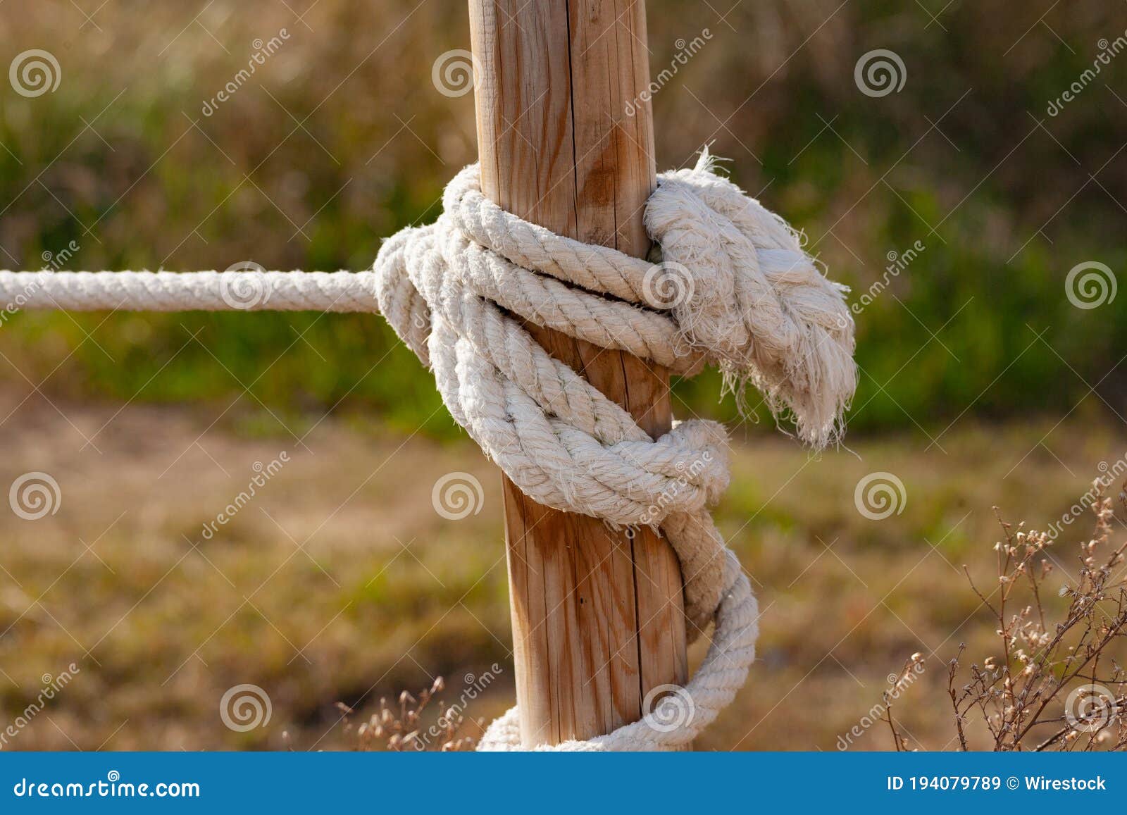 White Rope Tied Up on a Wooden Pole Stock Image - Image of wooden ...