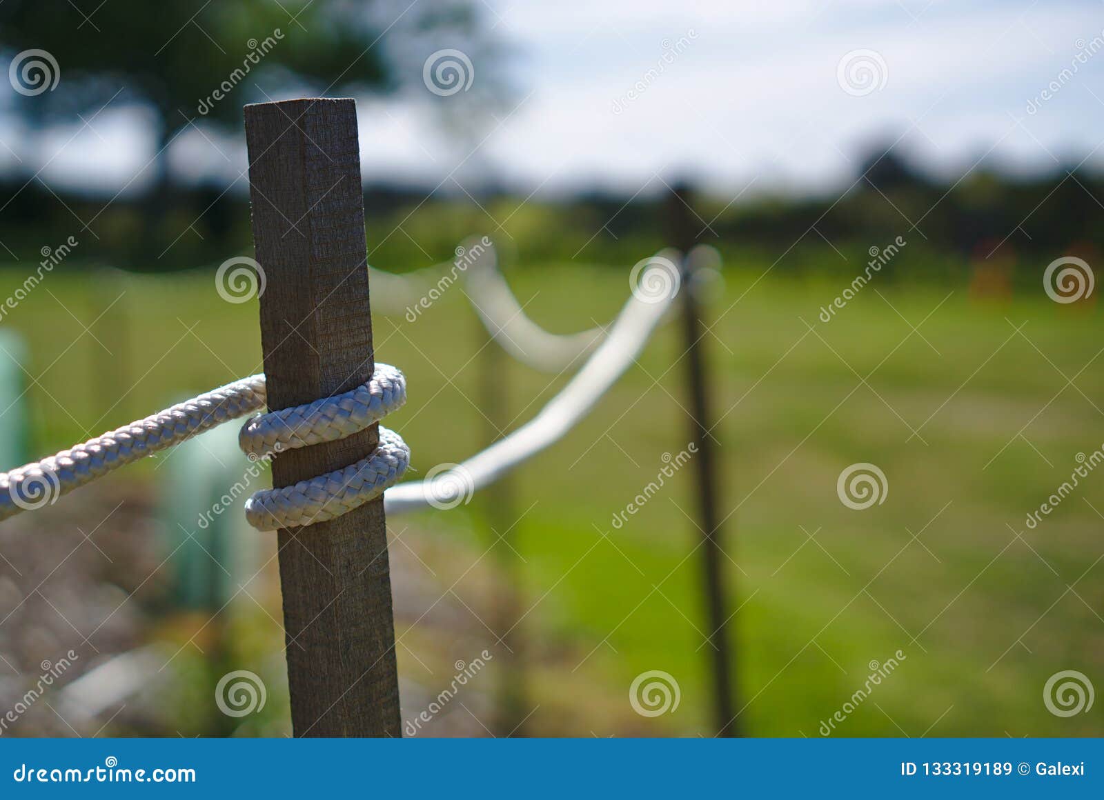 White Rope Wrapped Around Wooden Post Stock Image - Image of stake ...