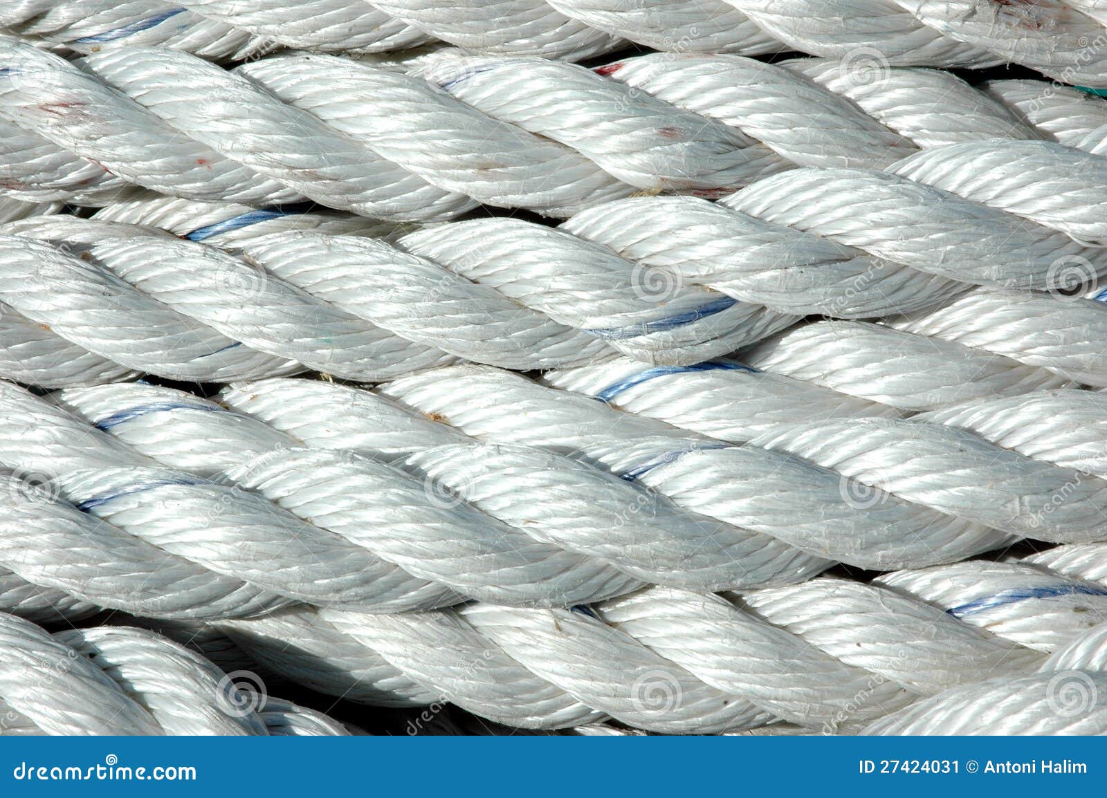 White ropes stock image. Image of fiber, cutout, bound - 27424031