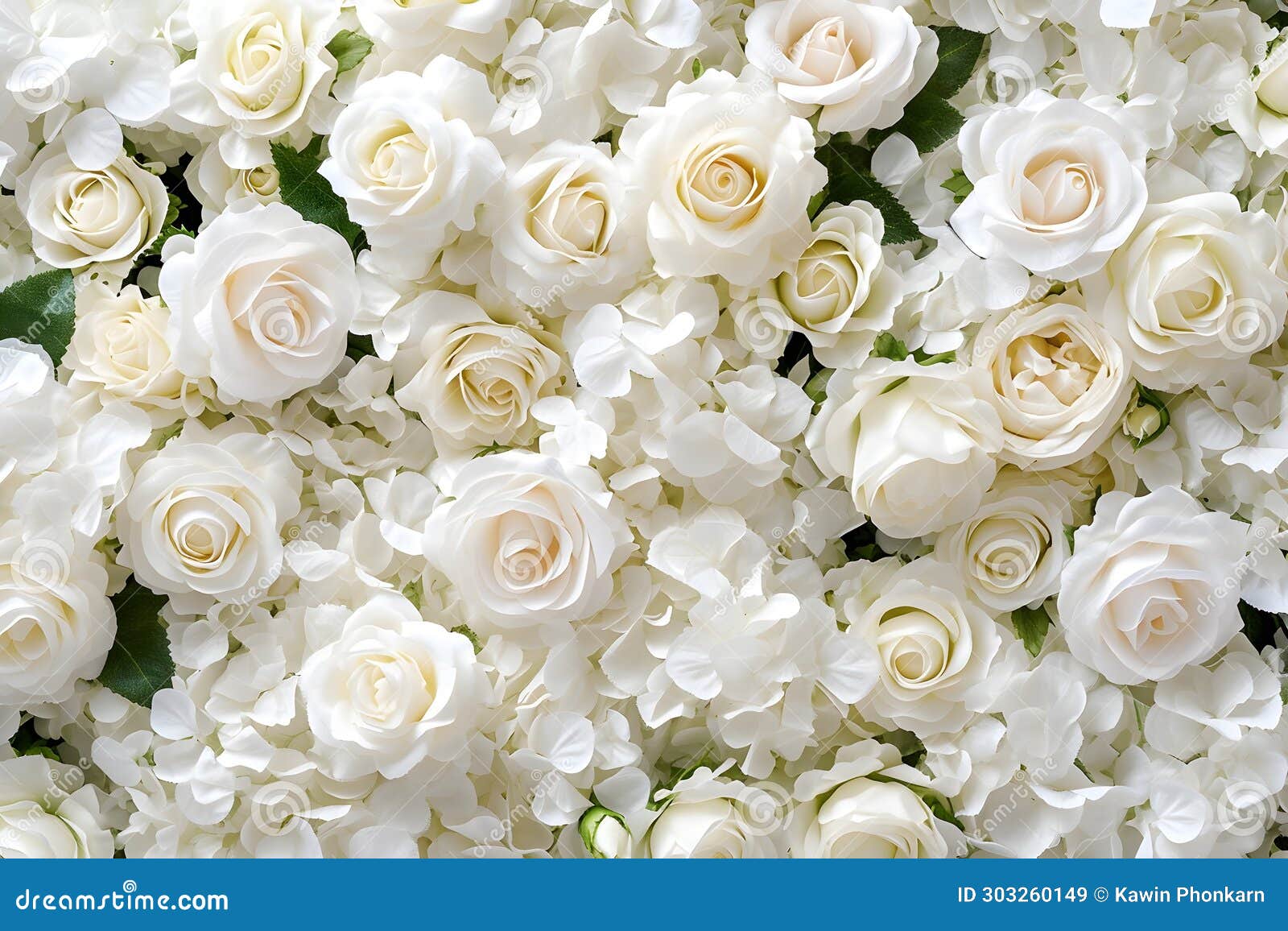 White rose background. stock illustration. Illustration of arrangement ...
