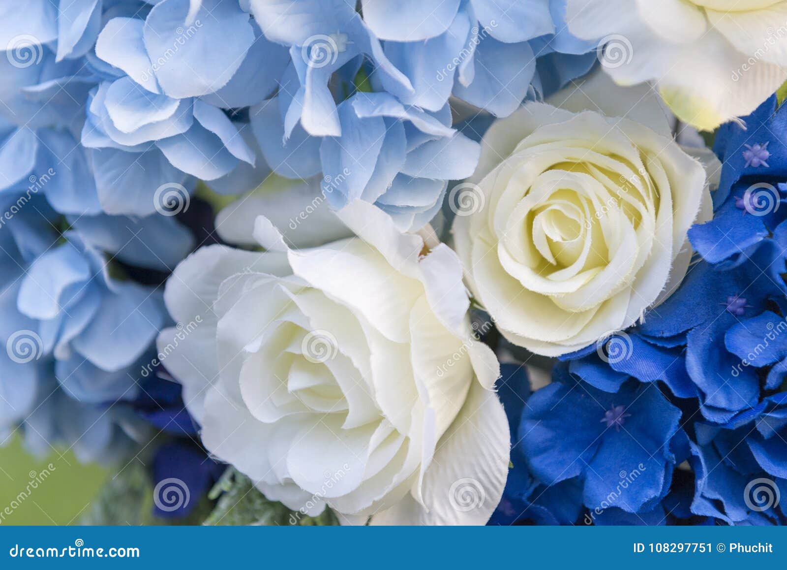 The White Rose with the Blue Flower. Stock Image - Image of bunch ...