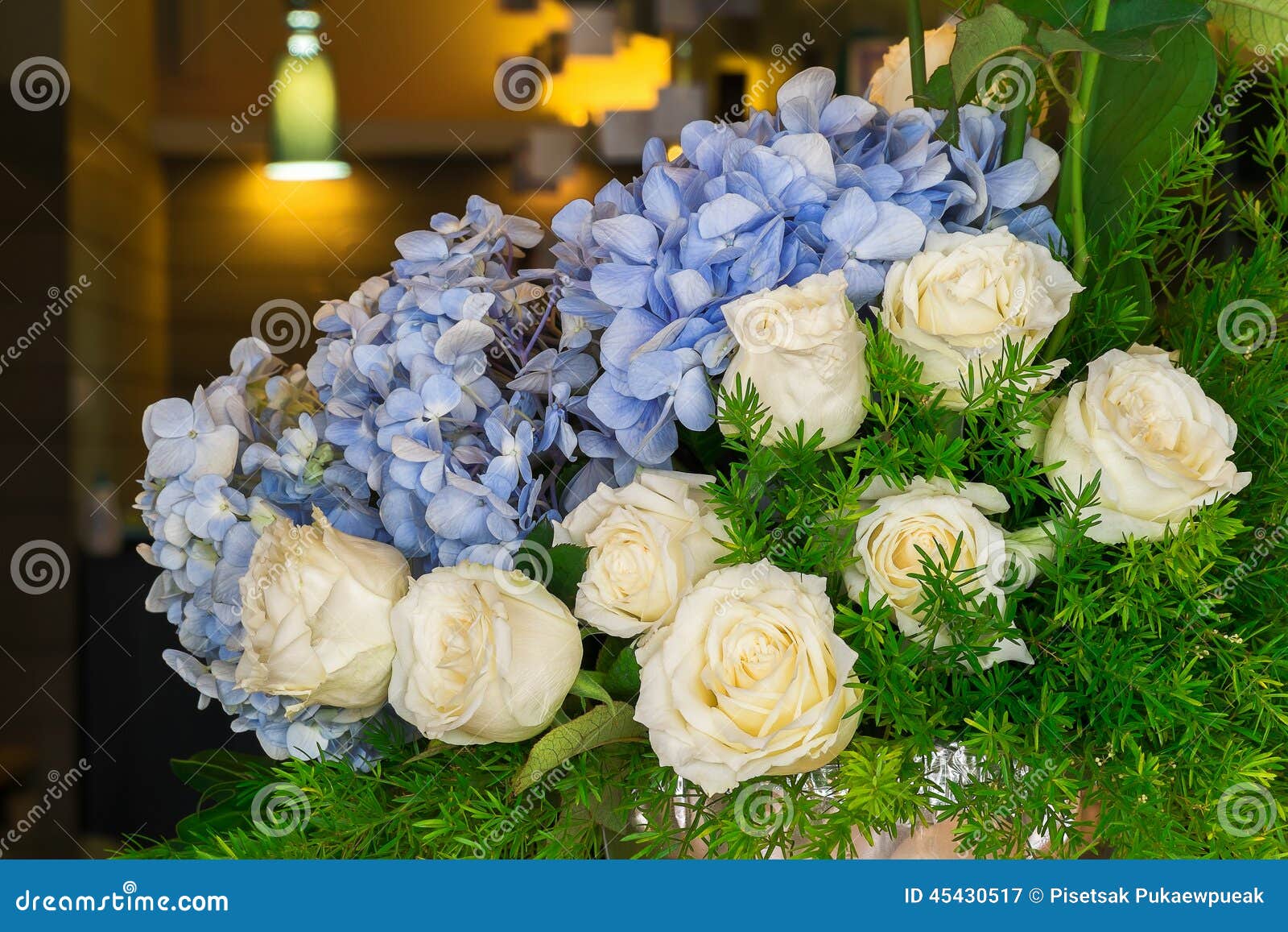 White Rose and Blue Hydrangea Stock Image - Image of gift, blossom ...