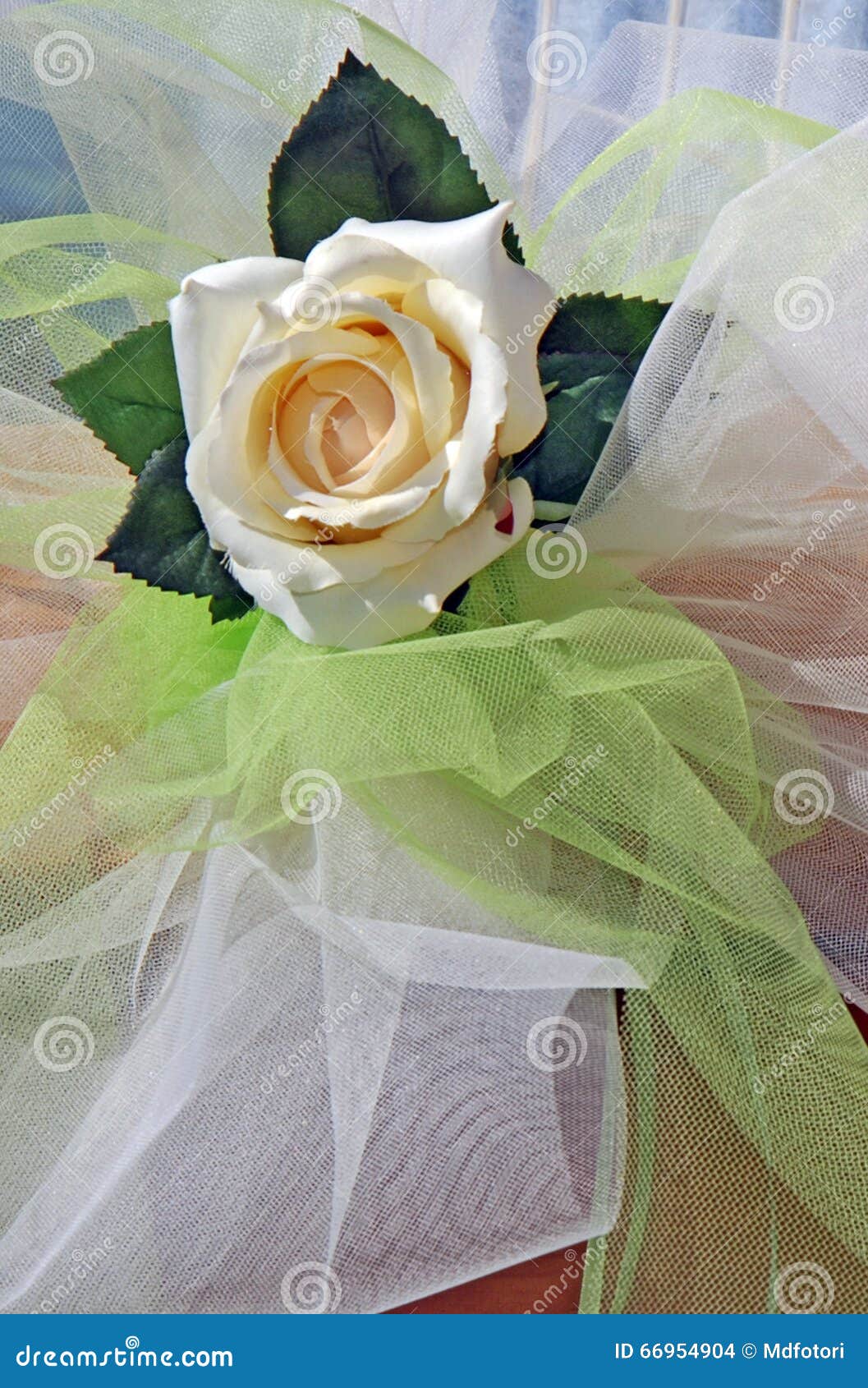 White Rose and Bows of Tulle Stock Photo - Image of ceremony, flower ...