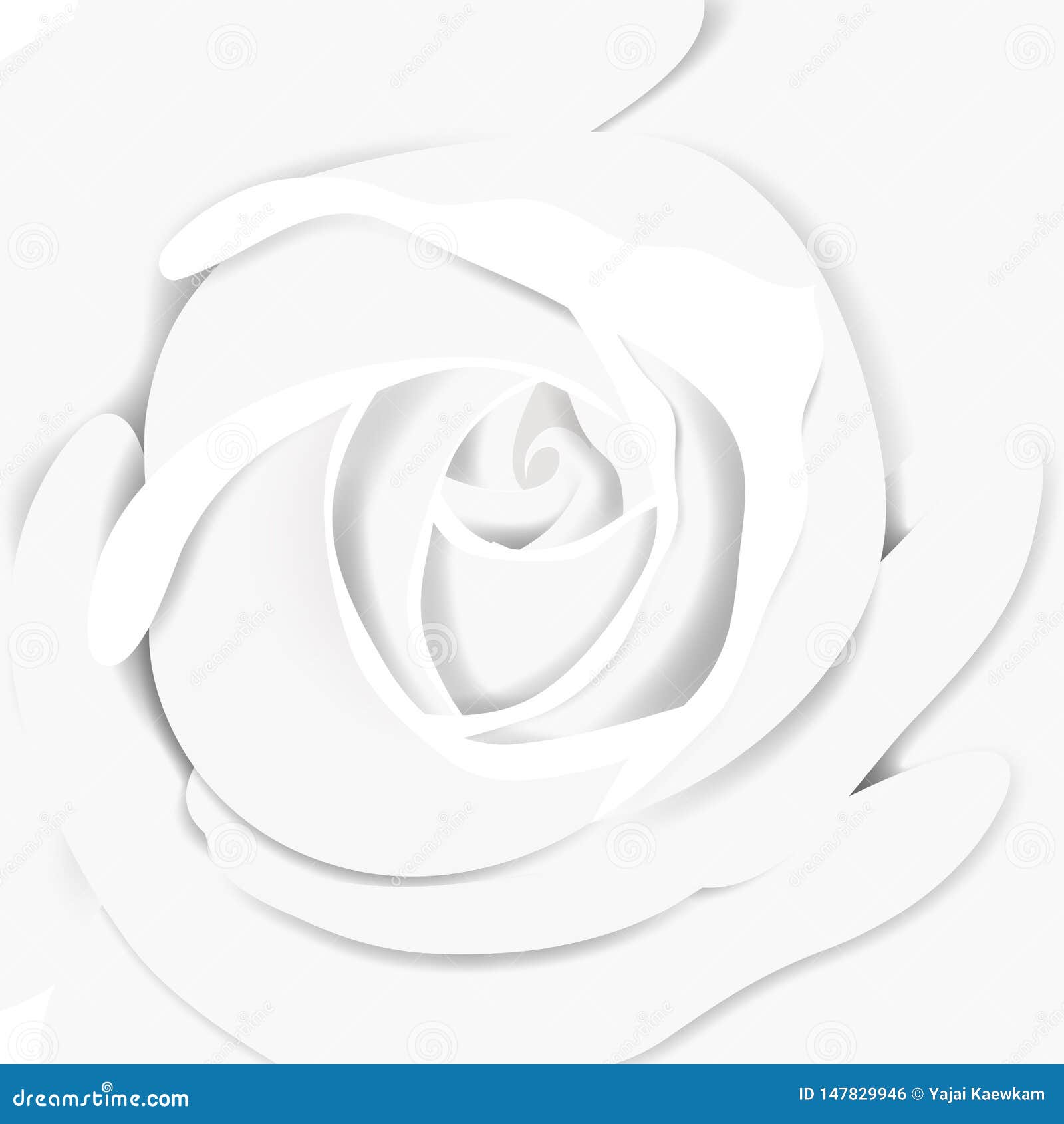 White Rose Close-up Background, Paper Cut Stock Vector - Illustration ...
