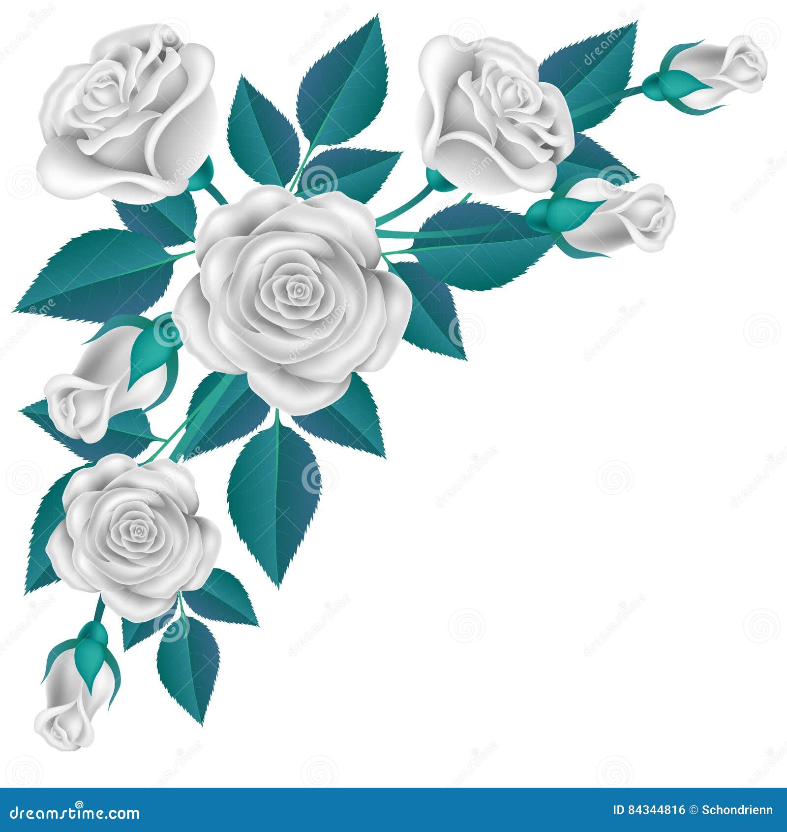 White Rose Corner with Blue Leaf Isolated on White Stock Vector ...