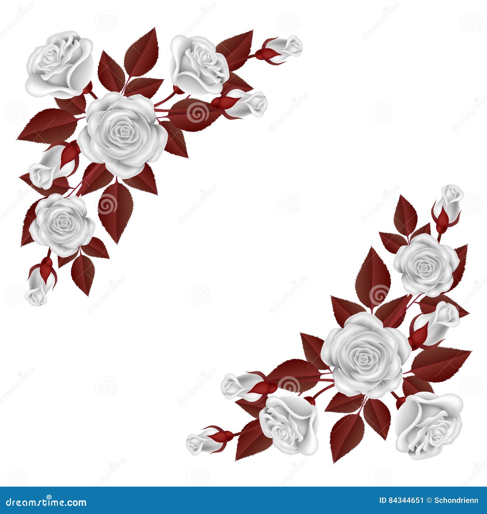 White Rose Corner Isolated on White Stock Vector - Illustration of ...