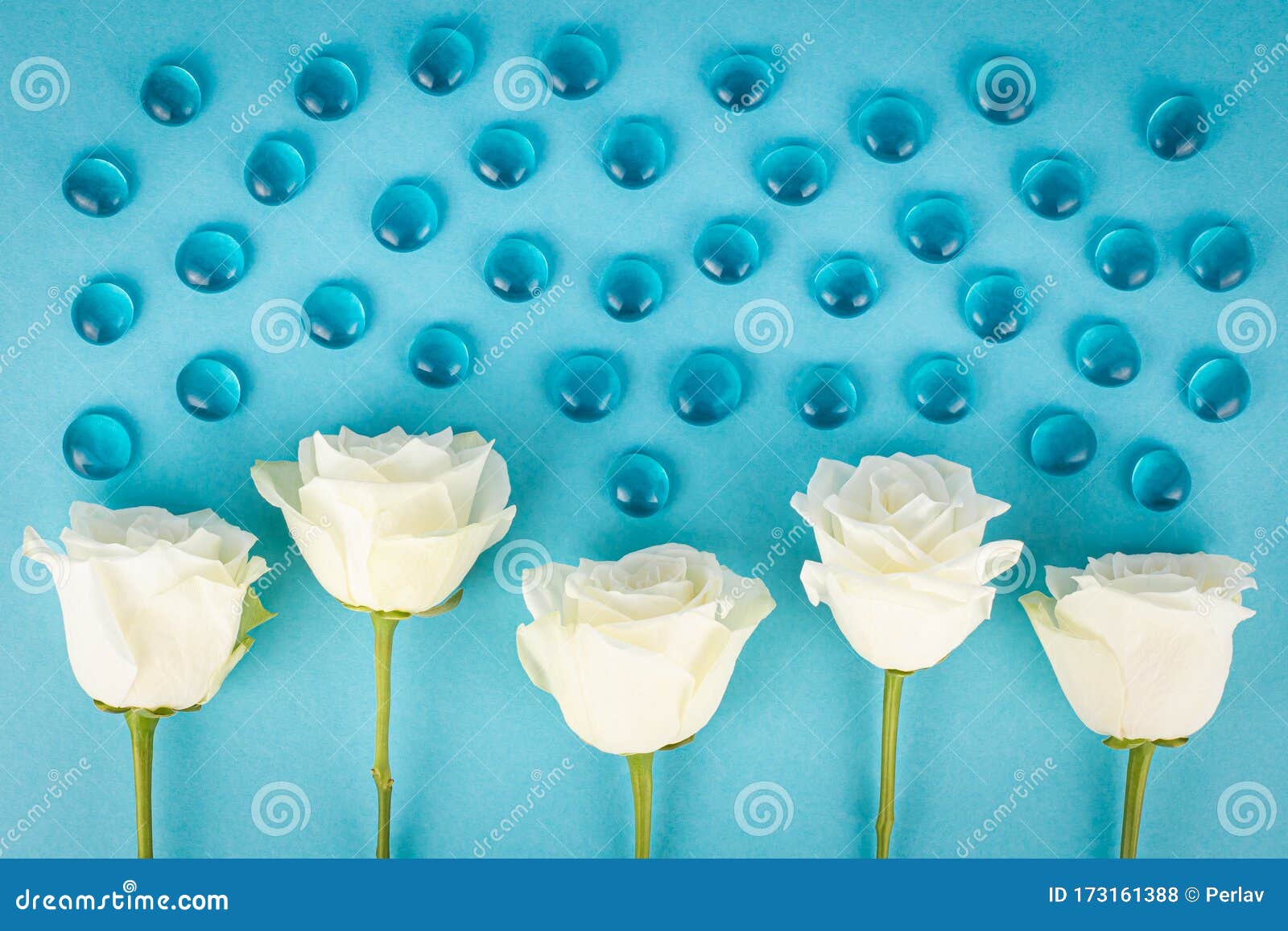 White Rose Flowers Arranged in a Row and Decorative Drops Stock Photo ...