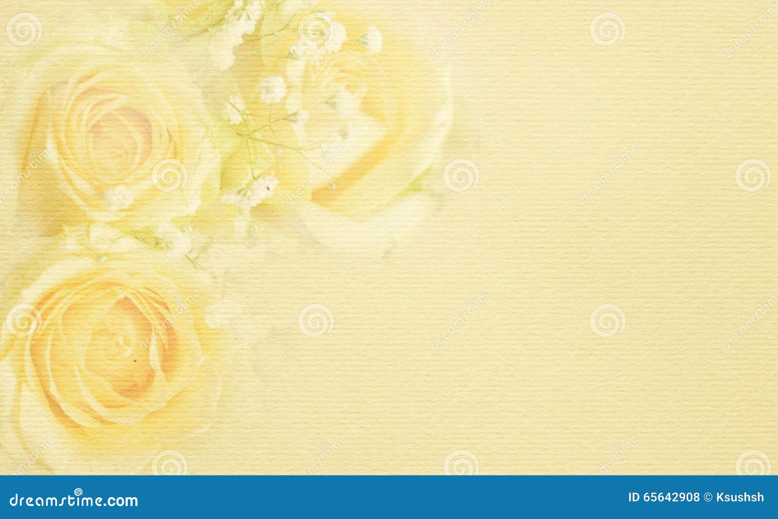 White Rose Flowers in a Corner Stock Photo - Image of plant, flower ...