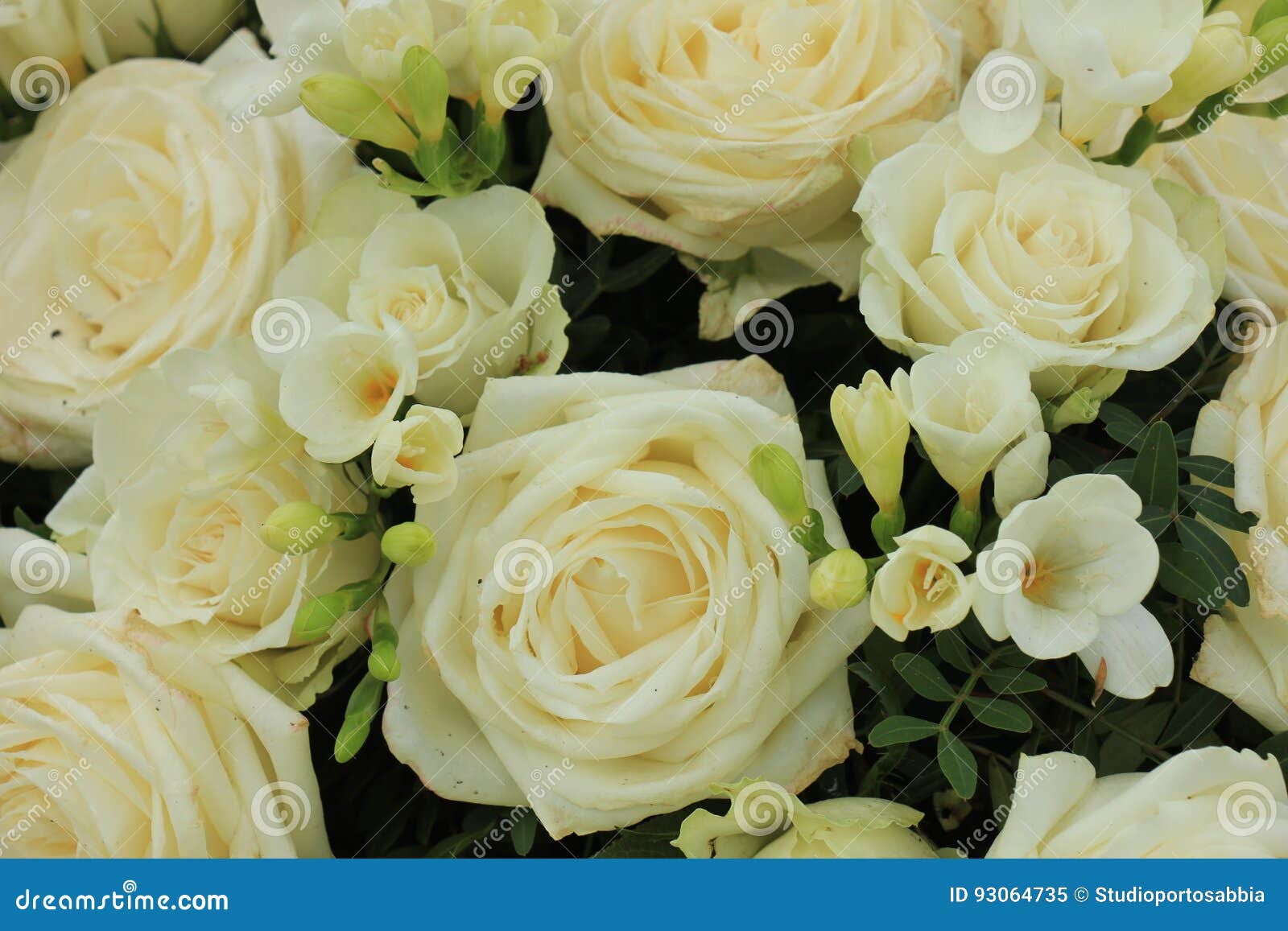 White Rose and Freesia Bouquet Stock Image - Image of flower, bridal ...