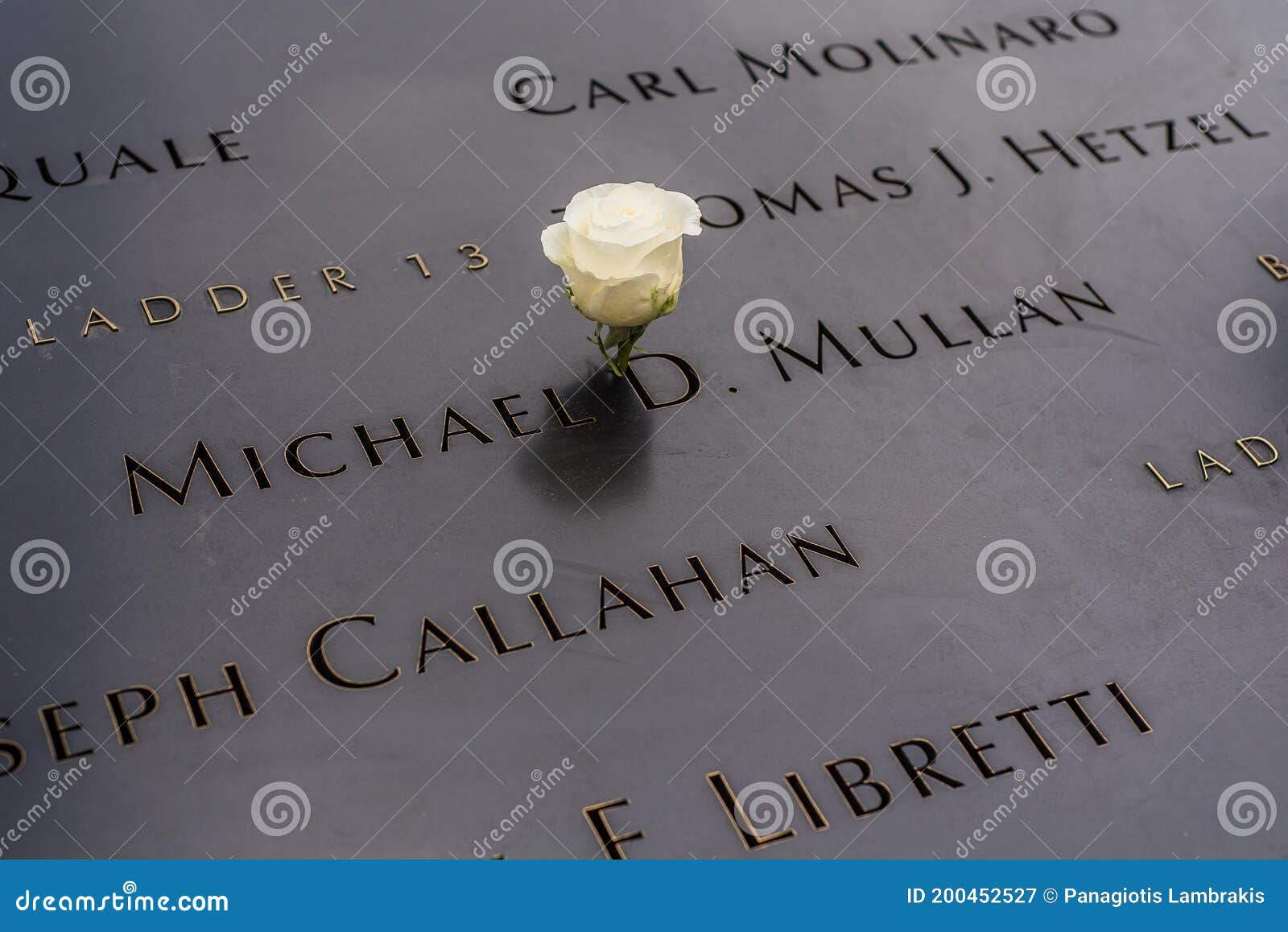 A White Rose on the Ground Zero Memorial Editorial Photography - Image ...