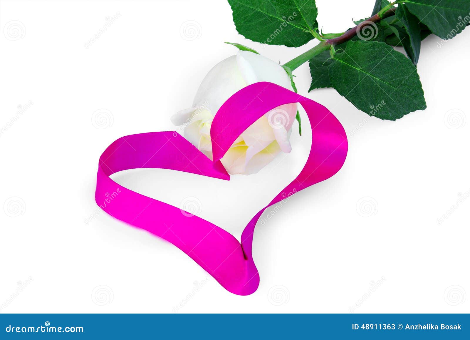 White Rose with Heart from a Ribbon Stock Image - Image of foreground ...