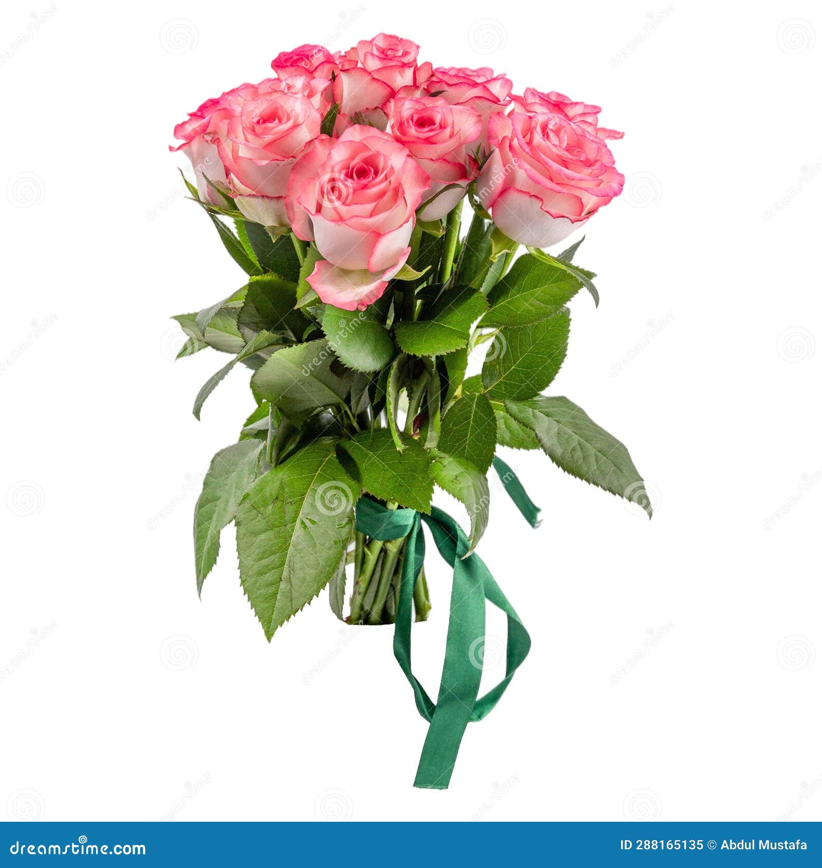 Rose Flower White Background Stock Image - Image of fragility, produce ...