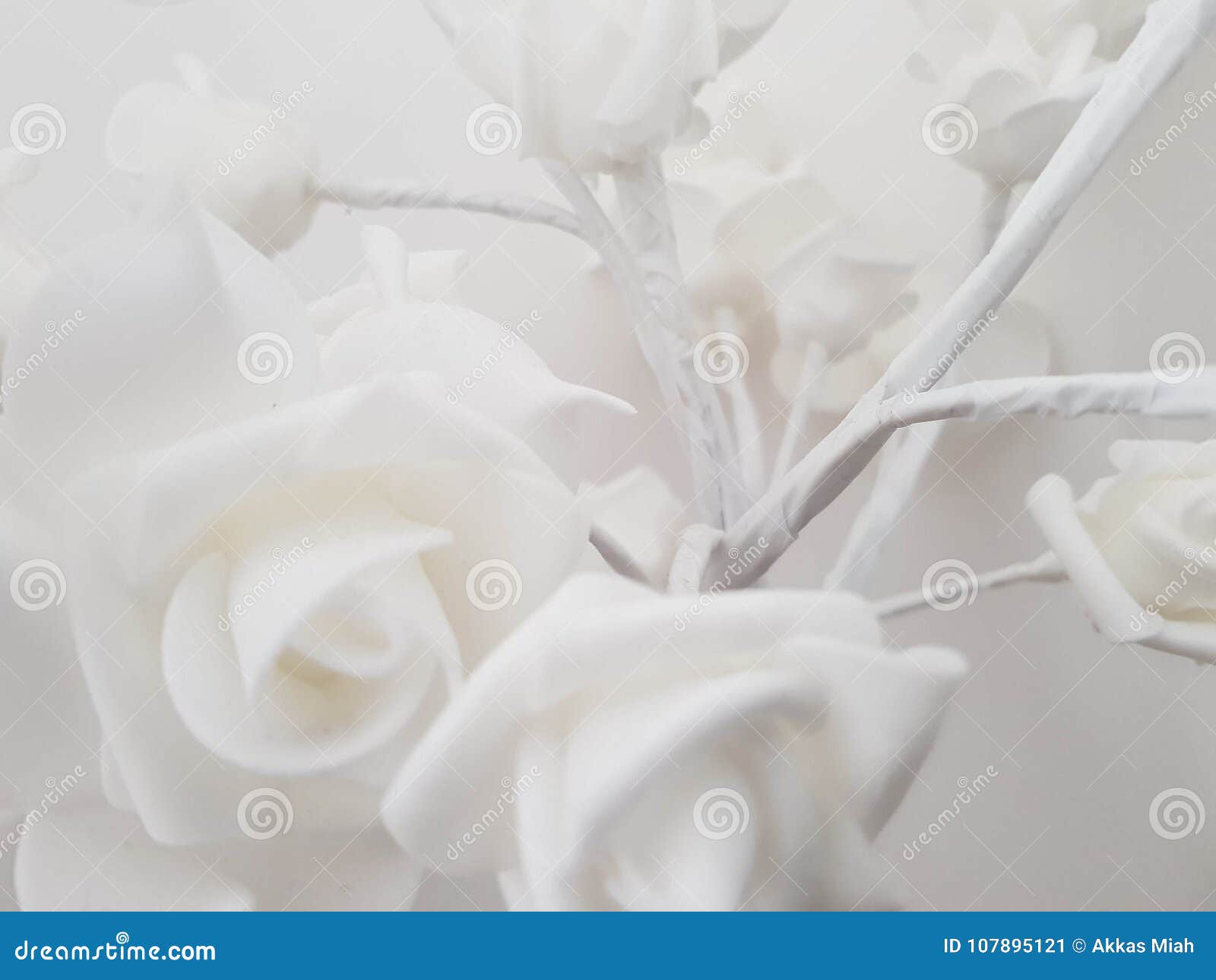 White Rose Light stock image. Image of snow, winter - 107895121