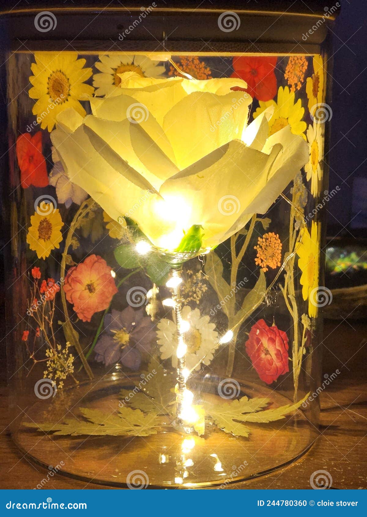 White Rose Night Light with Dry Pressed Flowers Stock Photo - Image of ...