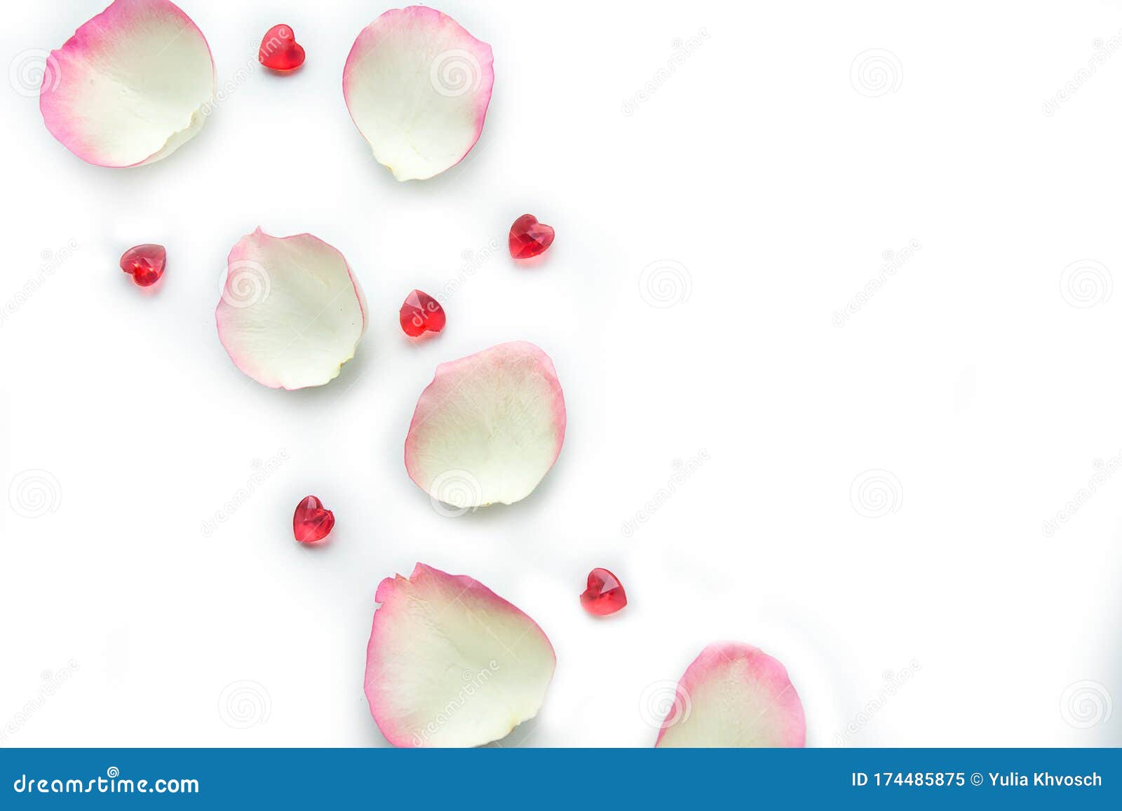White Rose Petals on White Background. Stock Image - Image of white ...