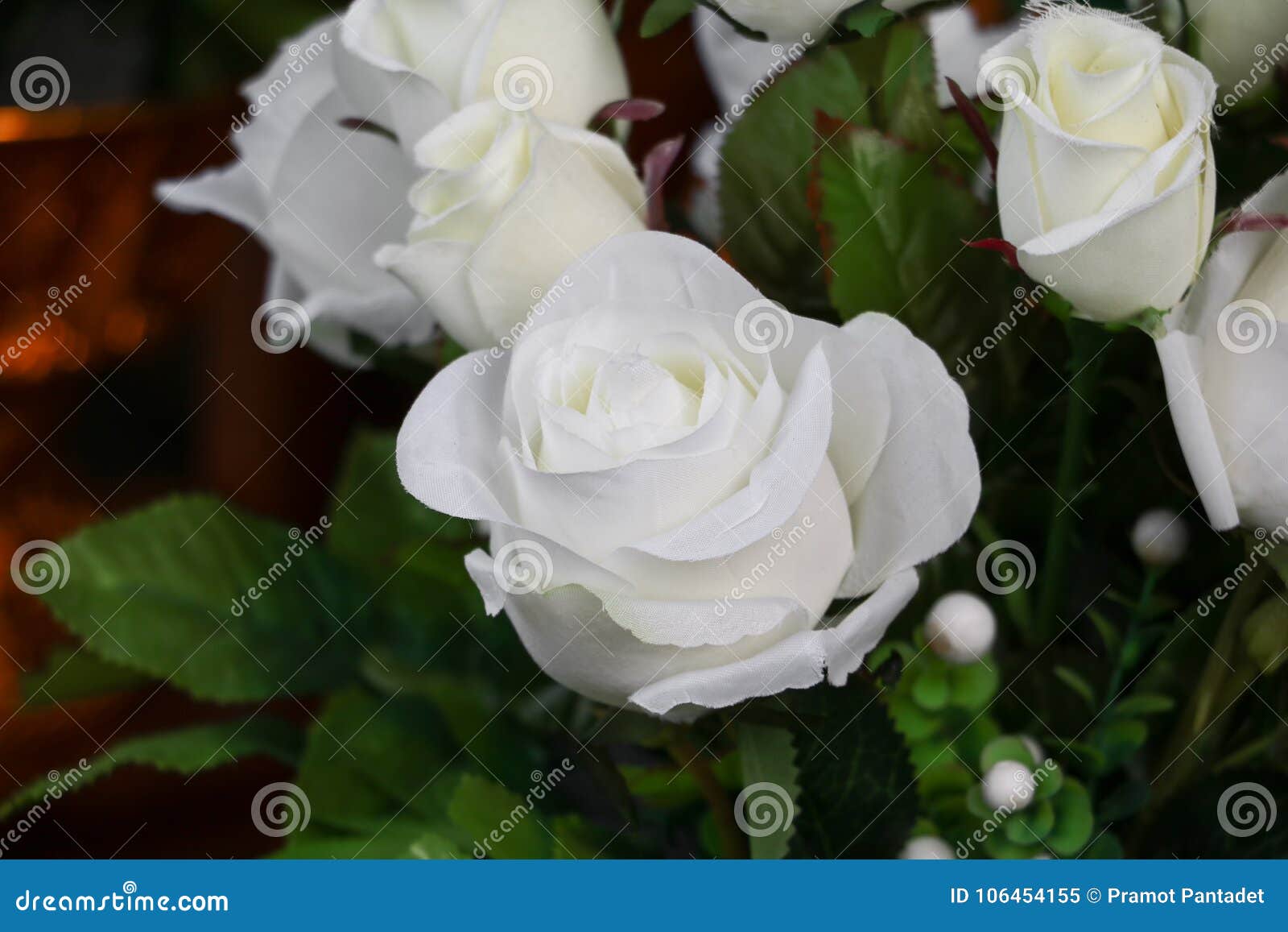 White Rose Plastic Close Up Stock Image - Image of luxurious, bunch ...