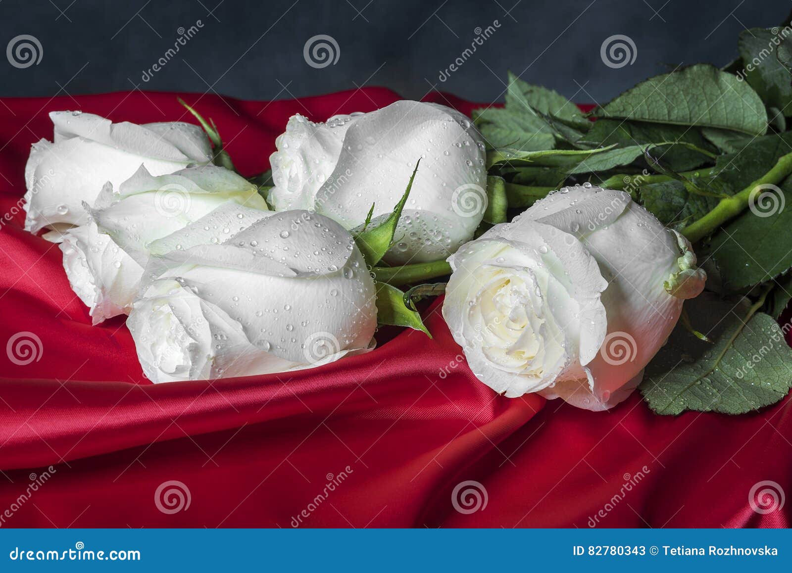 White rose on red satin. stock image. Image of leaf, passion - 82780343