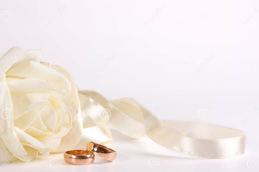 White Rose, Wedding Ring and Ribbon Stock Image - Image of ceremony ...