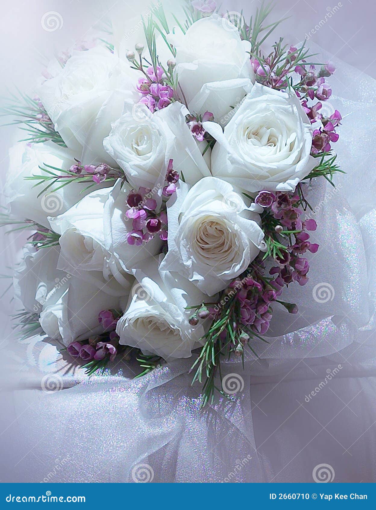 White roses stock photo. Image of engagement, flower, romantic - 2660710